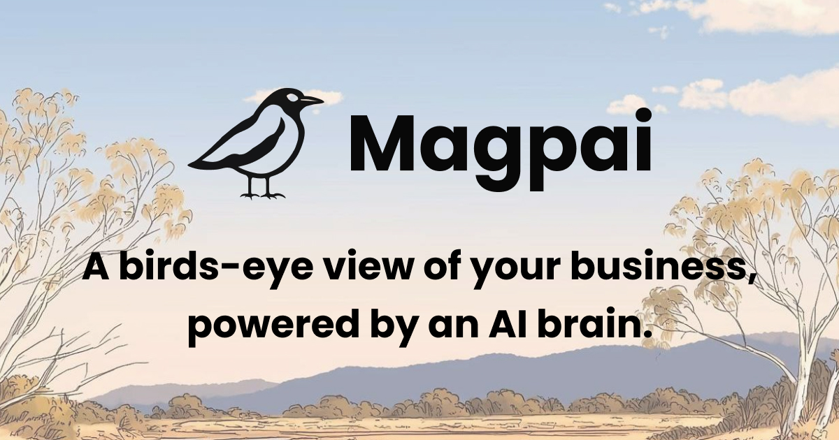 Magpai: A bird's-eye view of your business, powered by an AI brain.